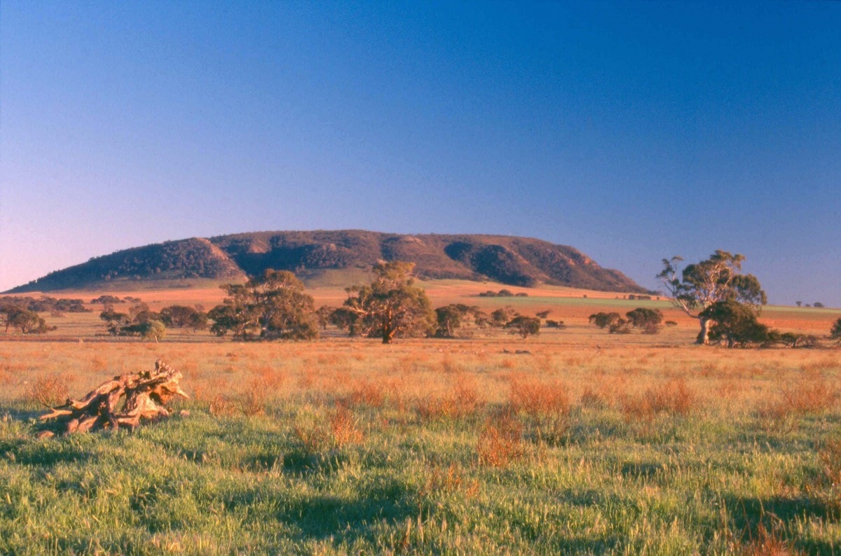 Mount Wedge | Elliston | Official Tourism Website