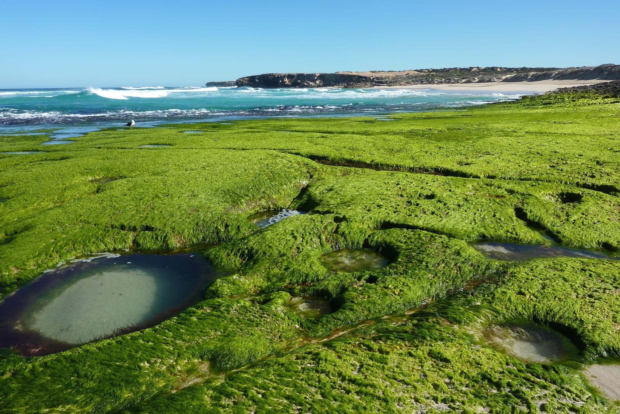 Sheringa and Round Lake | Elliston | Official Tourism Website