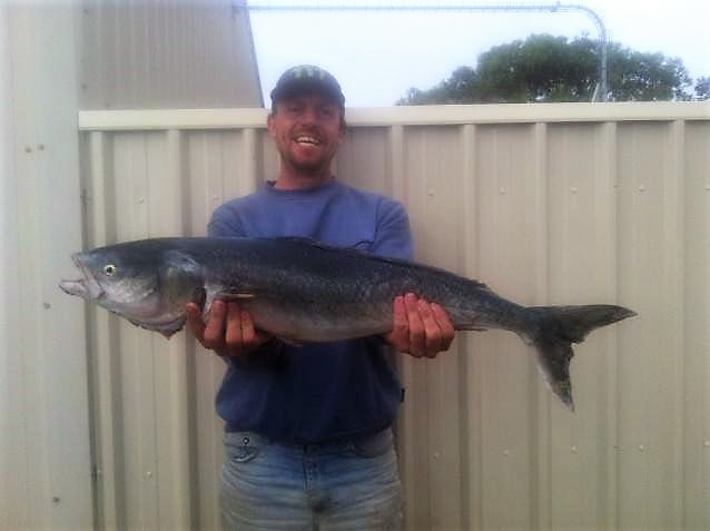 2015 Australian Salmon Fishing Championships Results | Elliston ...